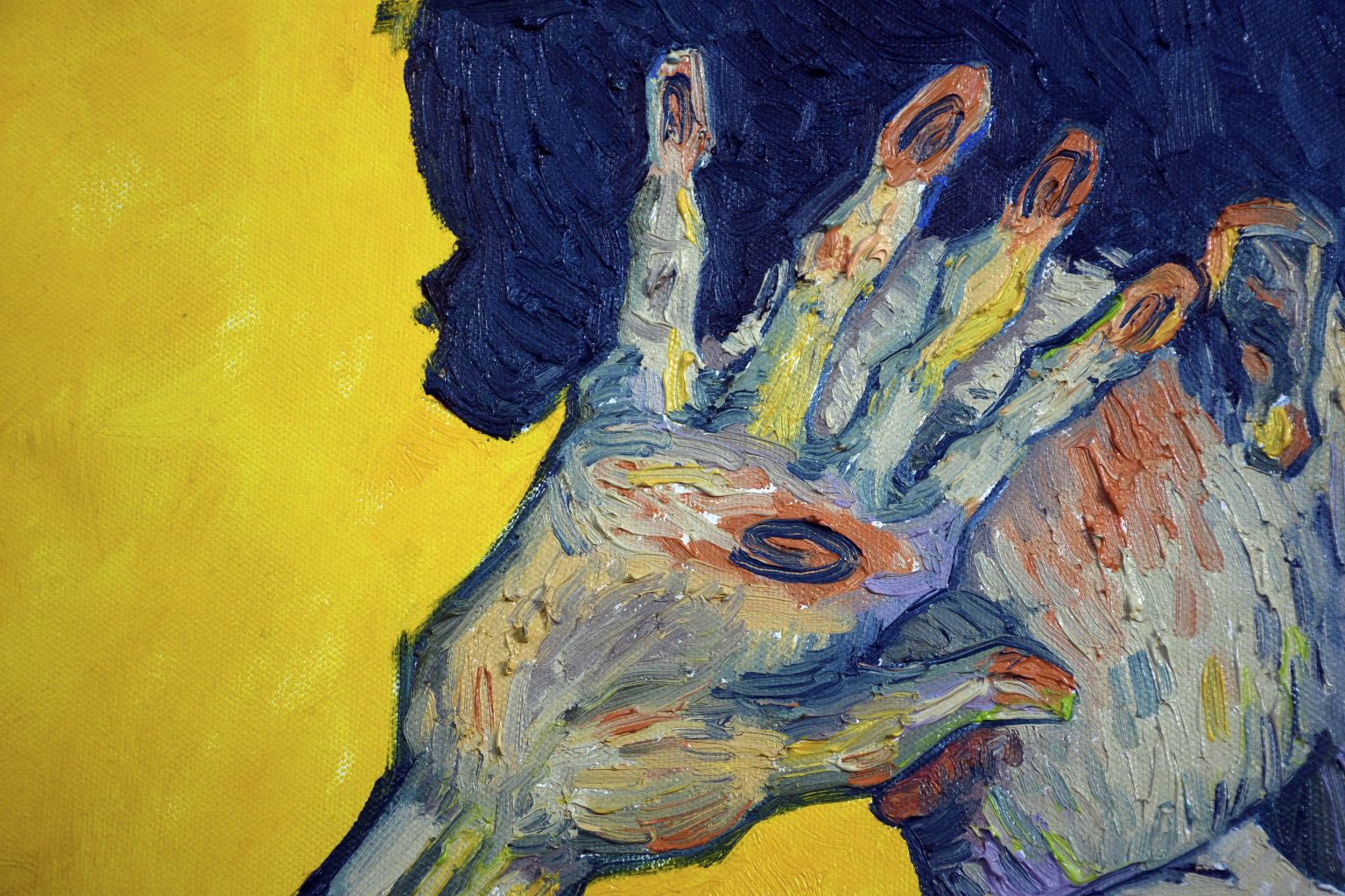 THE WORLD OUT OF THE FRAME - shefa salem